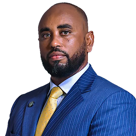 Africa's Business Heroes